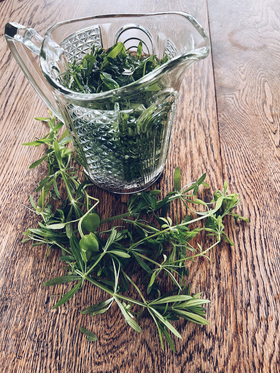 Cleavers Cold Water Infusion Recipe – Wild Botanica