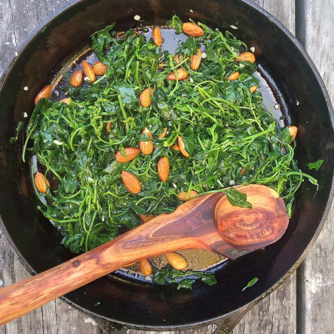 Fat Hen Sautee Recipe – Wild Botanica