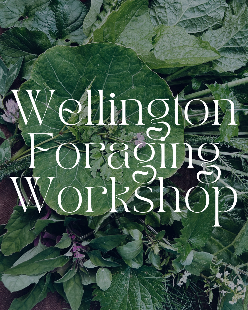 Wellington Urban Foraging Workshops - Learn to forage for wild greens ...